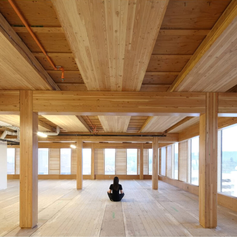 CLT Panels: Mass Timber Solutions for Residential and Multifamily ...